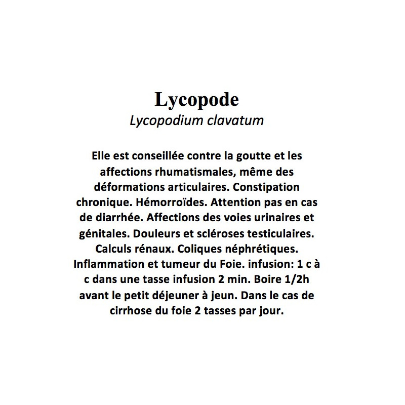 LYCOPODE 100GR Lycopodium clavatum