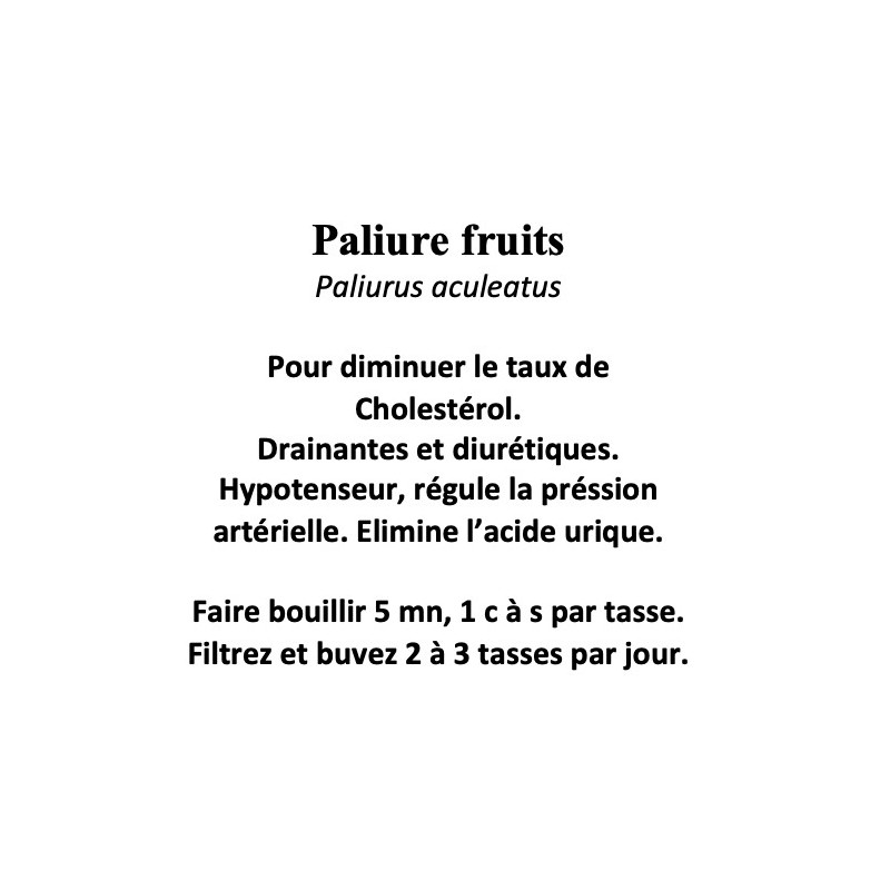 Paliure – Fruits (100 g) – Paliurus aculeatus